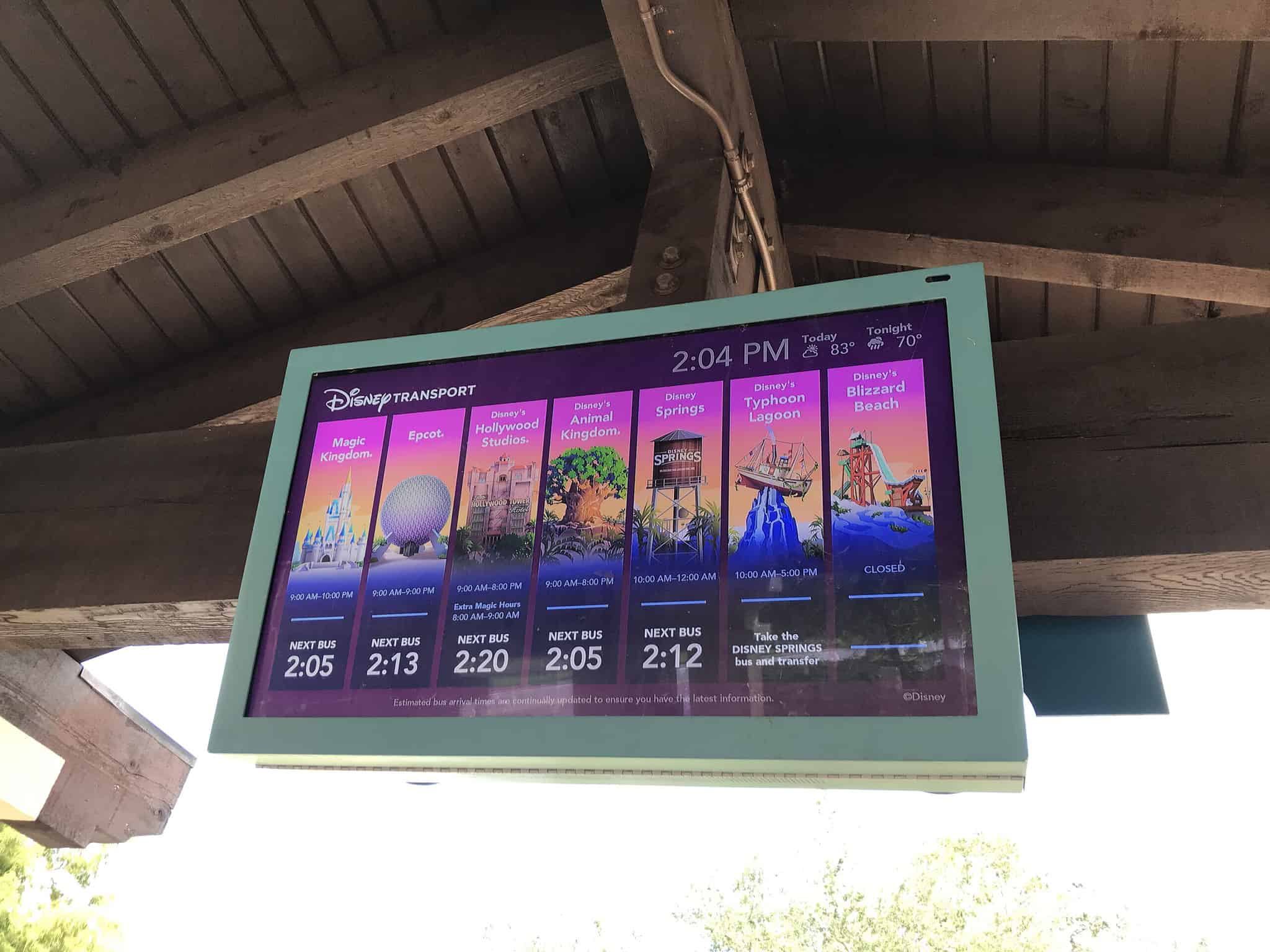 7 Essential RunDisney Training and Planning Tips for Beginners - Pixie ...