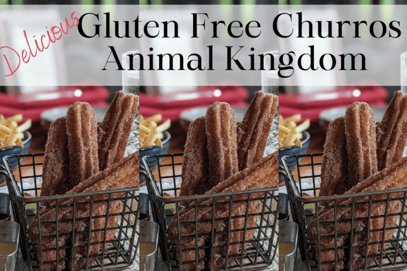 Gluten Free Churros Animal Kingdom: A delicious allergy friendly snack ...