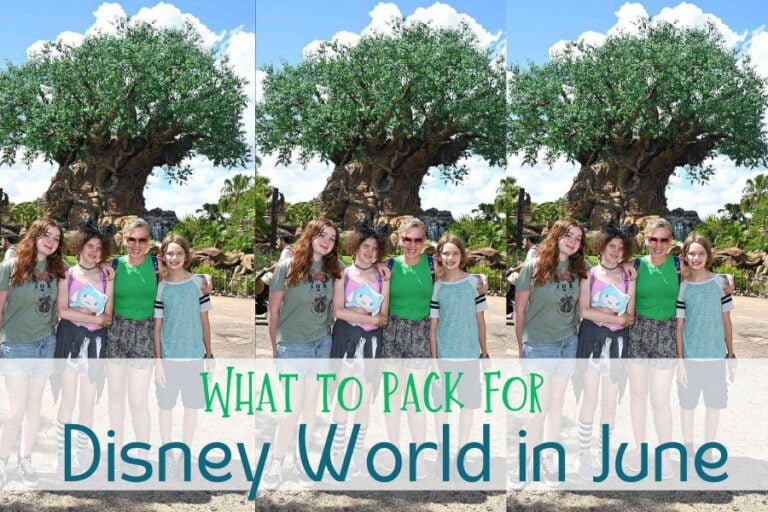 Complete List: What to Pack for Disney World in June (2025 UPDATE ...