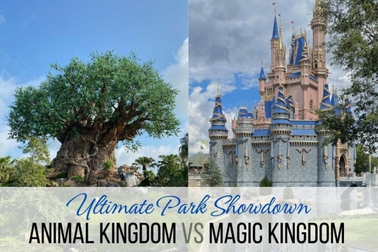Ultimate Park Showdown: Disney Animal Kingdom vs Magic Kingdom - Pixie ...