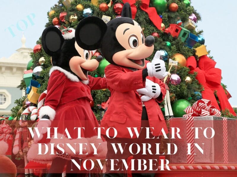 Ultimate Guide: What to Wear to Disney World in November - Pixie ...
