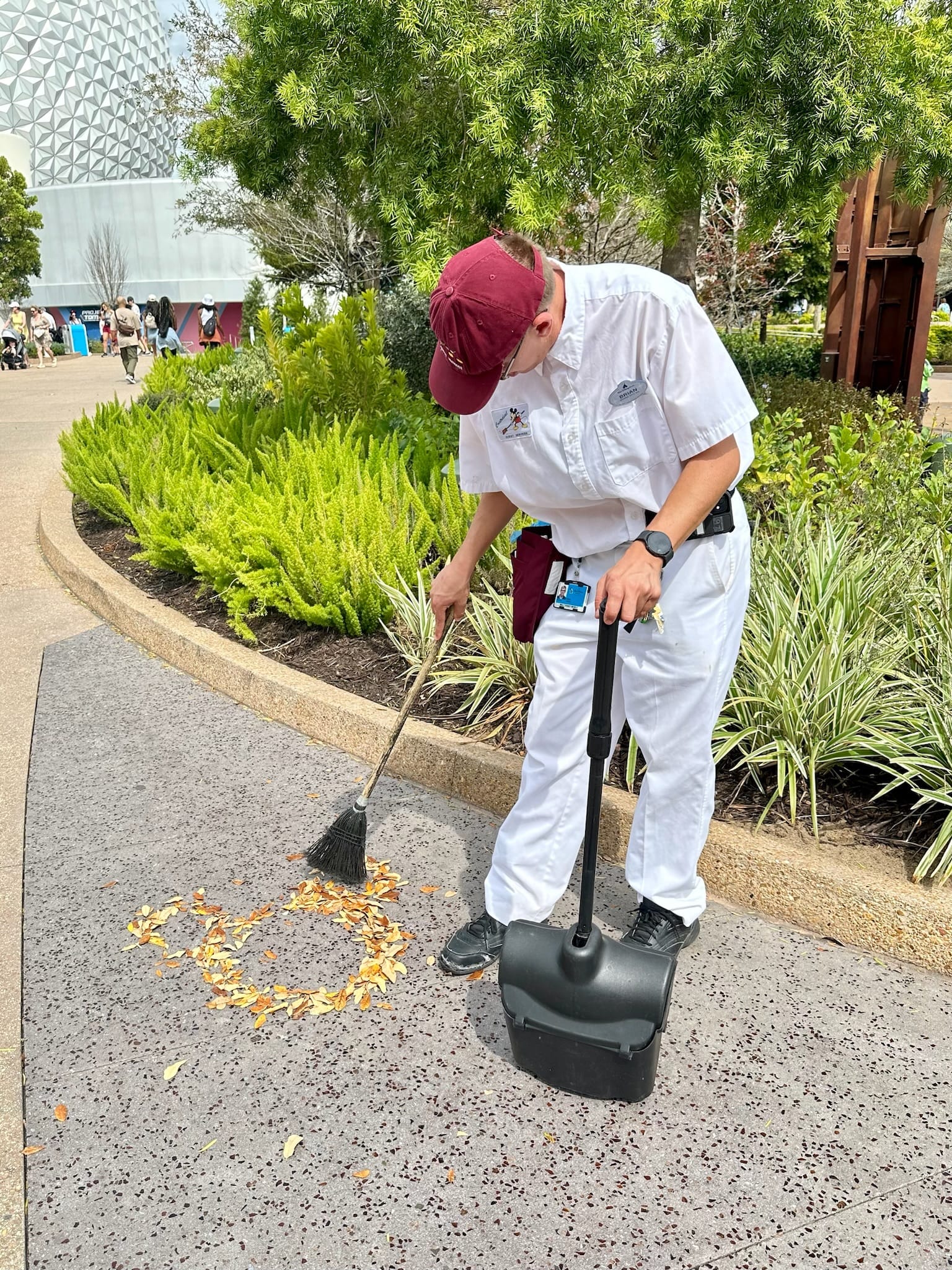 25 Walt Disney World Facts You Won't Believe! - Pixie Packing Travel Co