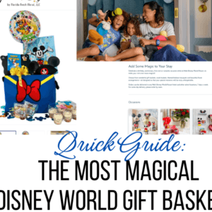 Craving a Cocktail at Disney World? Explore the 9 Best Disney World ...