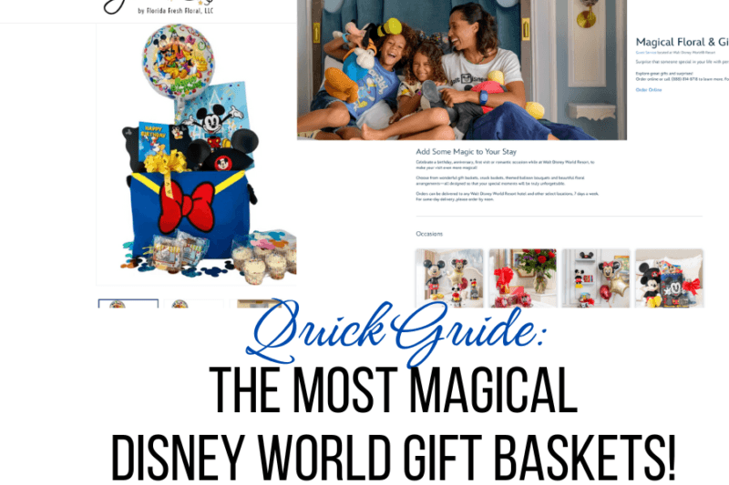 How to Get the Most Magical Disney World Gift Baskets! - Pixie Packing ...