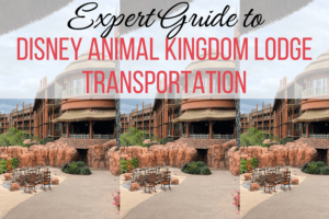 Expert Guide to Disney Animal Kingdom Lodge Transportation! - Pixie ...